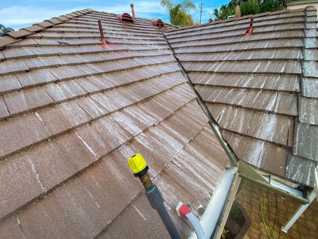 Soft Washing Benefits | Crocodile Window Cleaning & Pressure Washing Soft Washing Benefits | Crocodile Window Cleaning & Pressure Washing